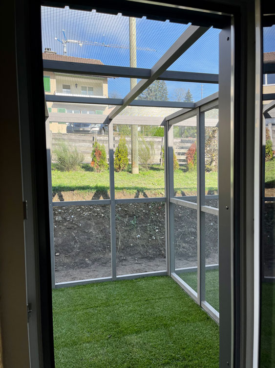 Deluxe Katzenhotel - Deluxe Katzenhotel